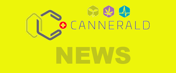 CannerGrow Erfahrungen : Dein Cannabis-Invest bei Cannerald - Review und Bewertung mit den ...